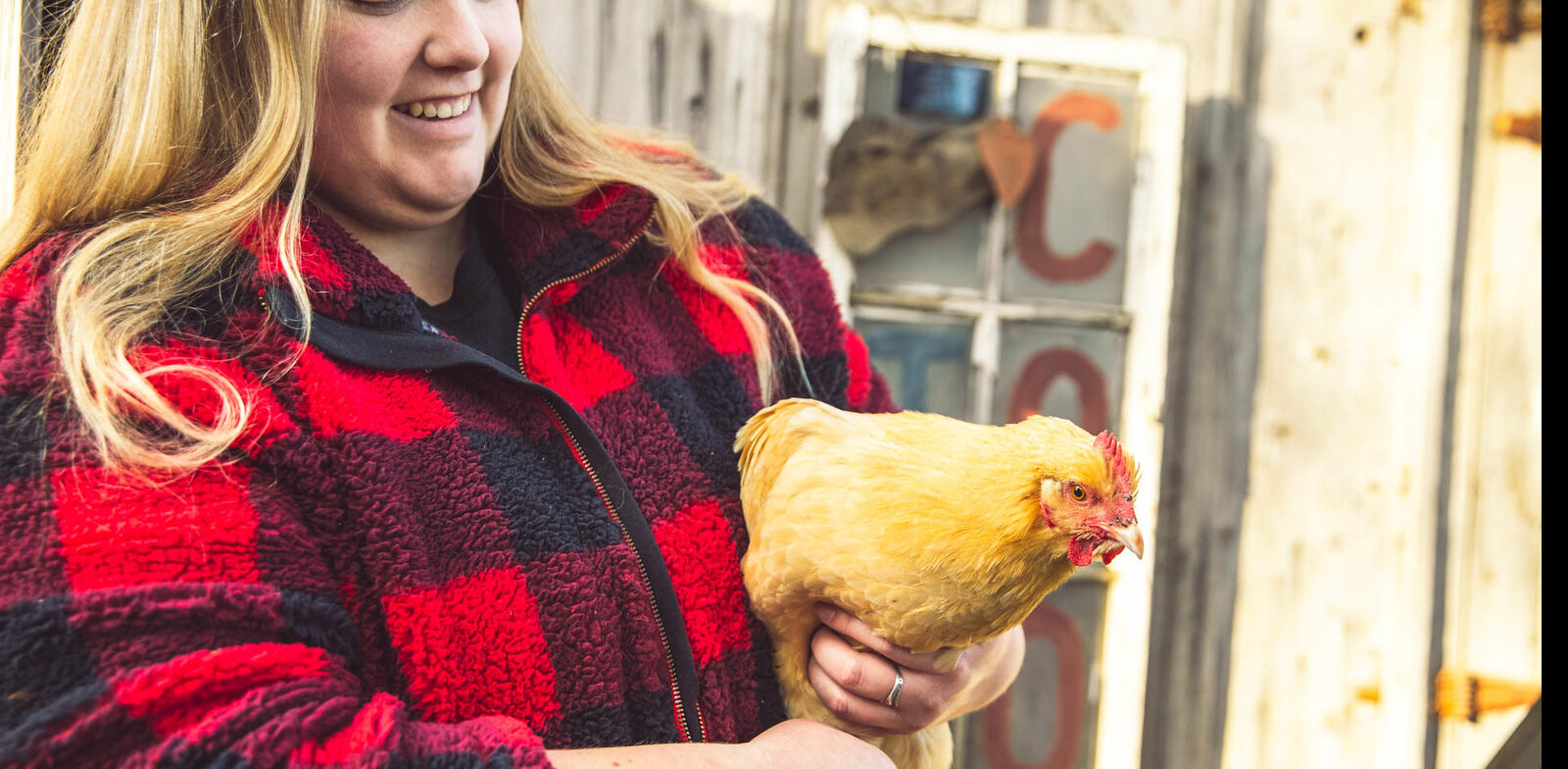 Kruse website manager | Contact